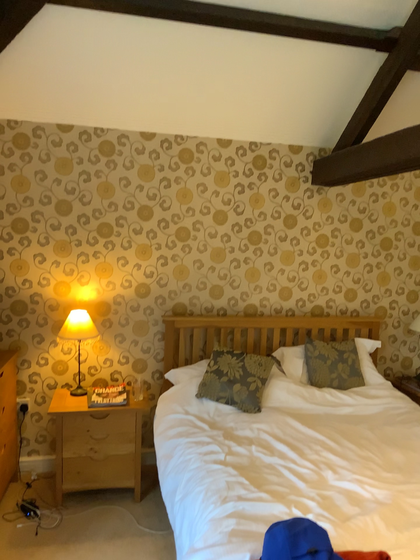 Omni3D-Bench Sample Viewer